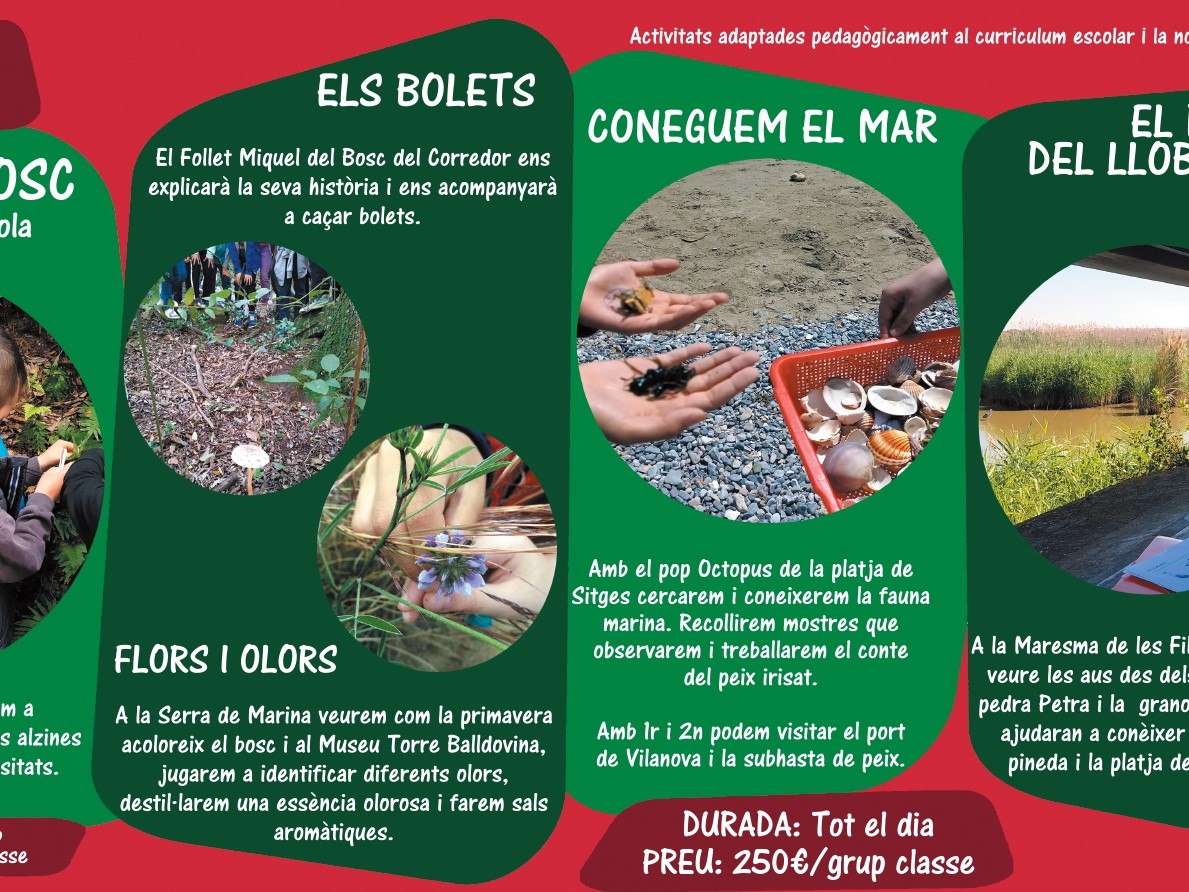 NOVETATS CURS 2023-2024 – TEA DIFUSIÓ CULTURAL